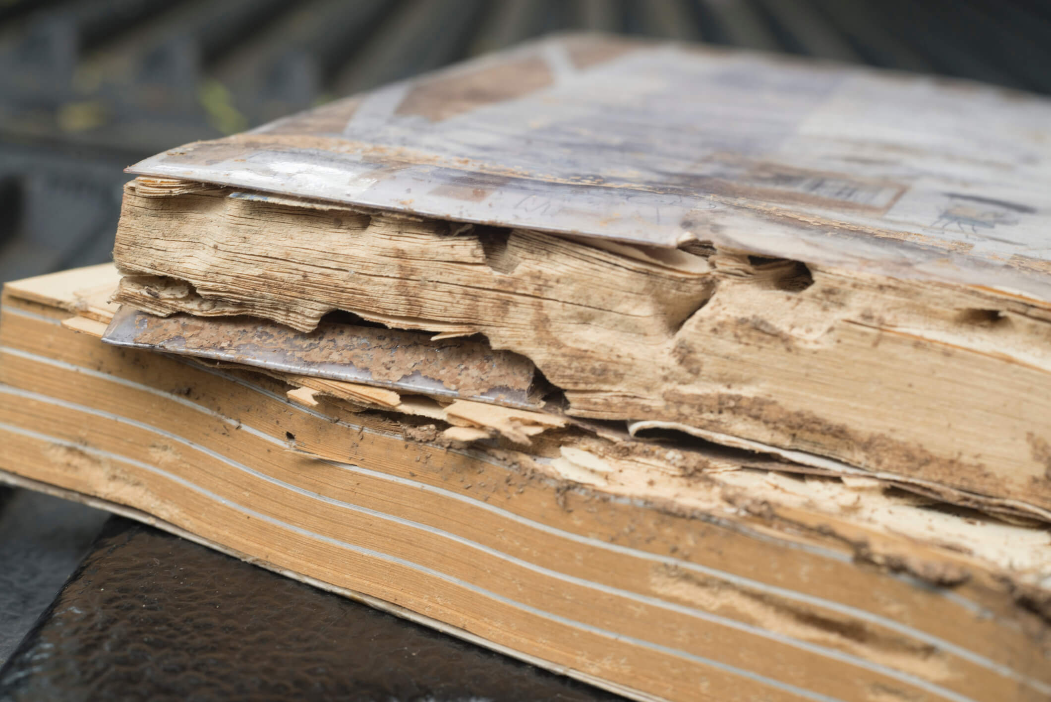 Menyimpan Banyak Buku dan Dokumen Penting di Rumah? Waspadai Serangan ... Menyimpan Banyak Buku dan Dokumen Penting di Rumah? Waspadai Serangan ...